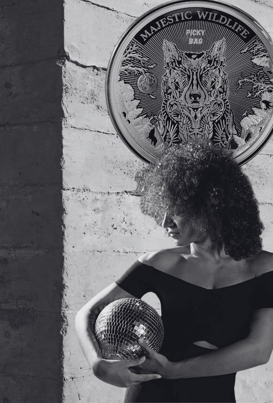 Sac banane argenté | PICKY BAG – Picky Bag